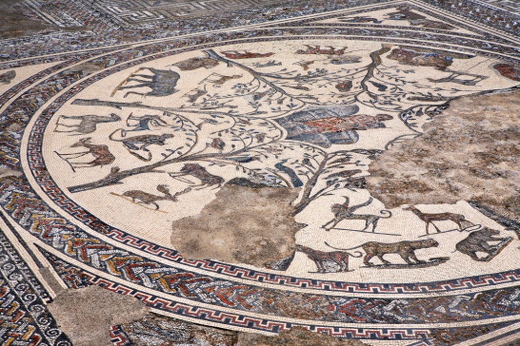 Volubilis – Medieval Islamic History